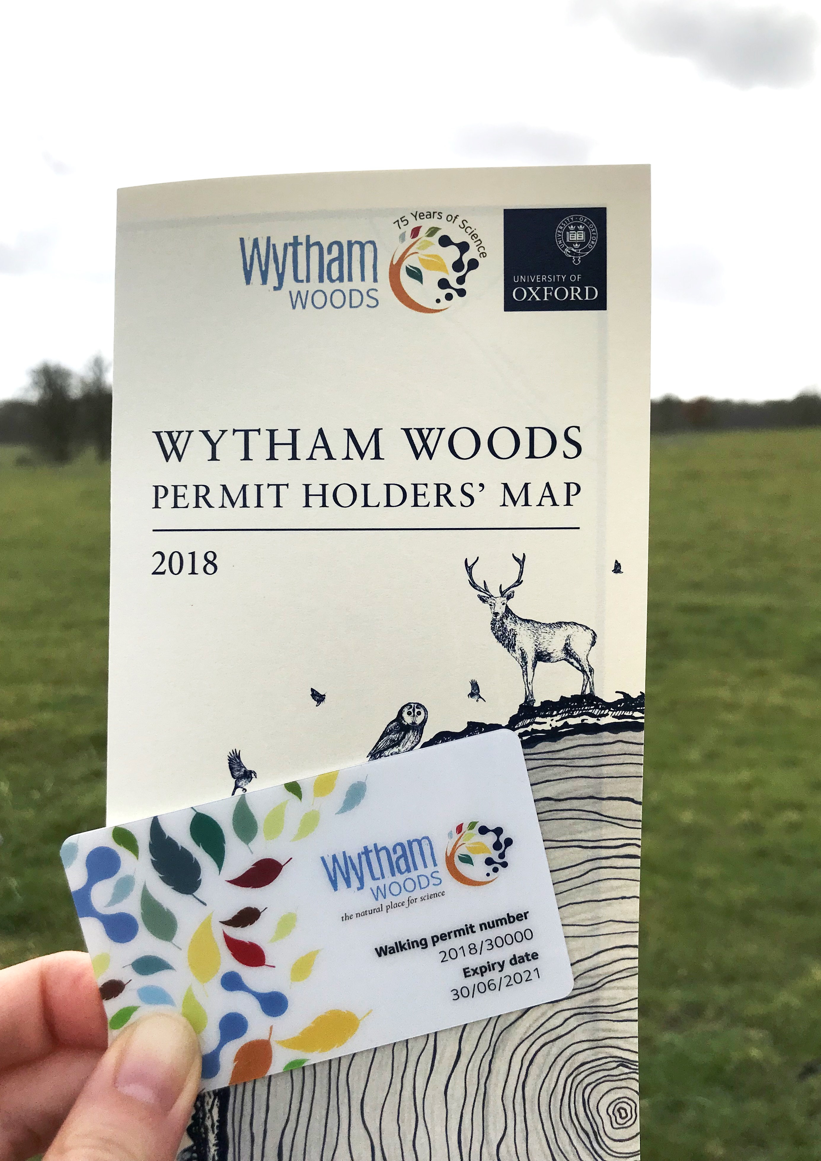 Wytham Woods permit and map revamped | Wytham Woods